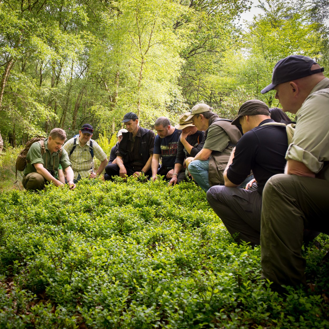 The Ray Mears & Woodlore Bushcraft Blog | The latest news, guides and ...