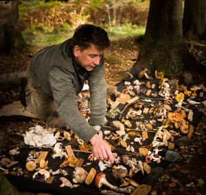 The Ray Mears & Woodlore Bushcraft Blog | The latest news, guides and ...