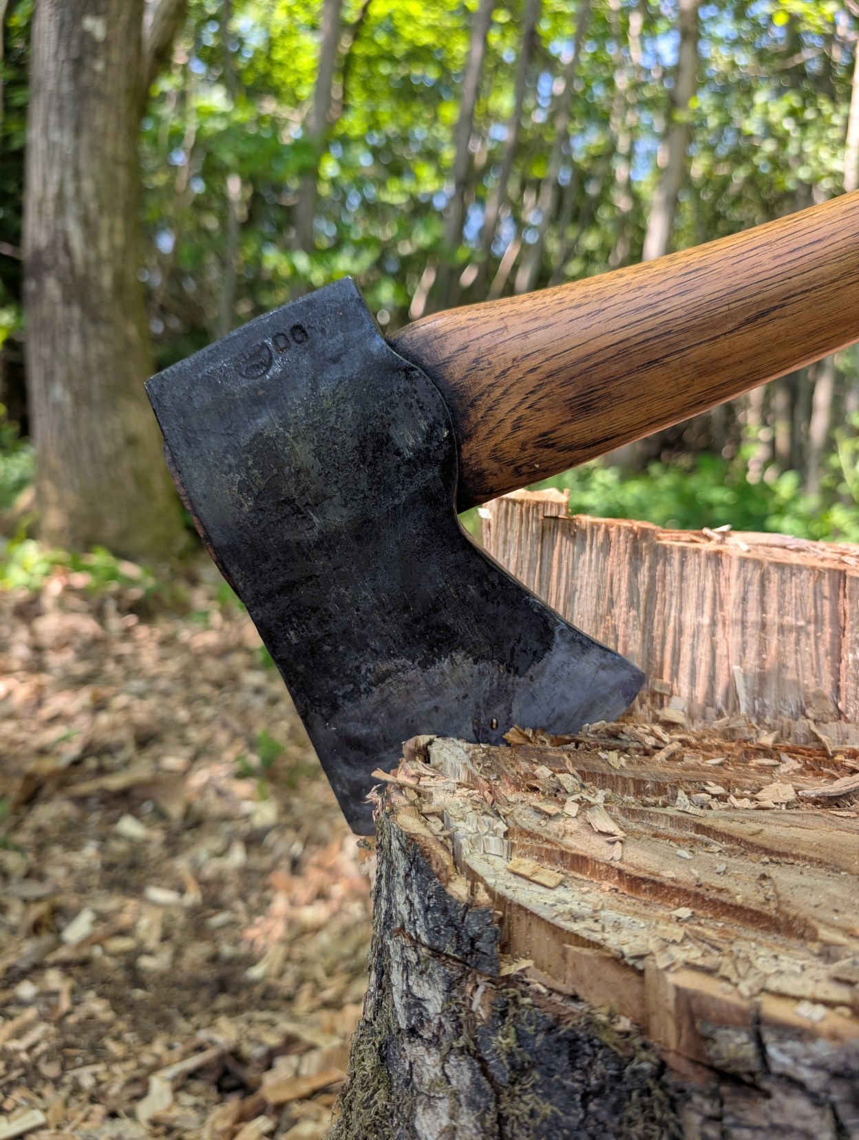 The Ray Mears & Woodlore Bushcraft Blog | The latest news, guides and ...