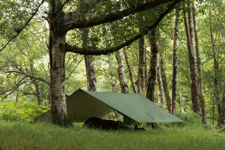 The Ray Mears & Woodlore Bushcraft Blog | The latest news, guides and ...