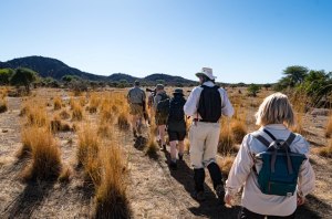 The Ray Mears & Woodlore Bushcraft Blog | The latest news, guides and ...